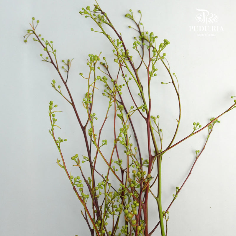 Deng Tai – Pudu Ria Florist Southern