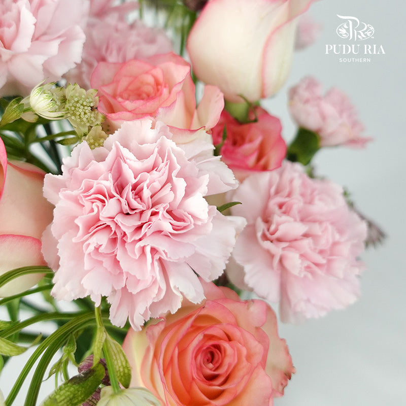 Carnation – Pudu Ria Florist Southern