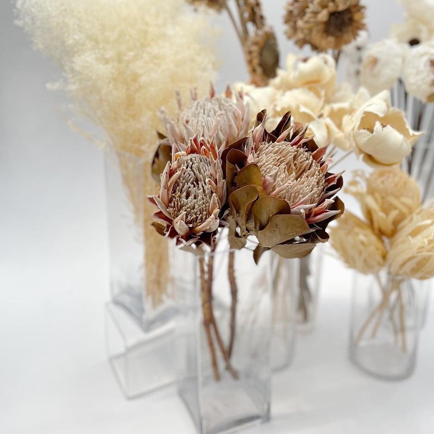 Dried Flowers – Pudu Ria Florist Southern