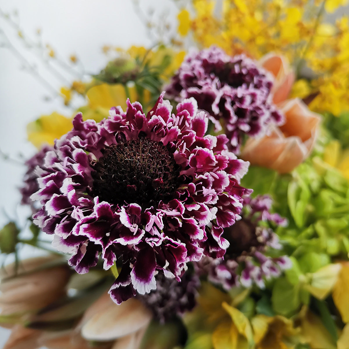 Fresh Flowers under RM50 – Pudu Ria Florist Southern