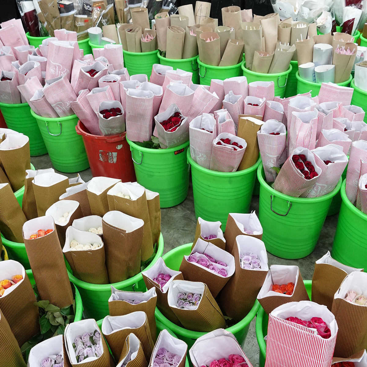 New Arrival Fresh Cut – Pudu Ria Florist Southern