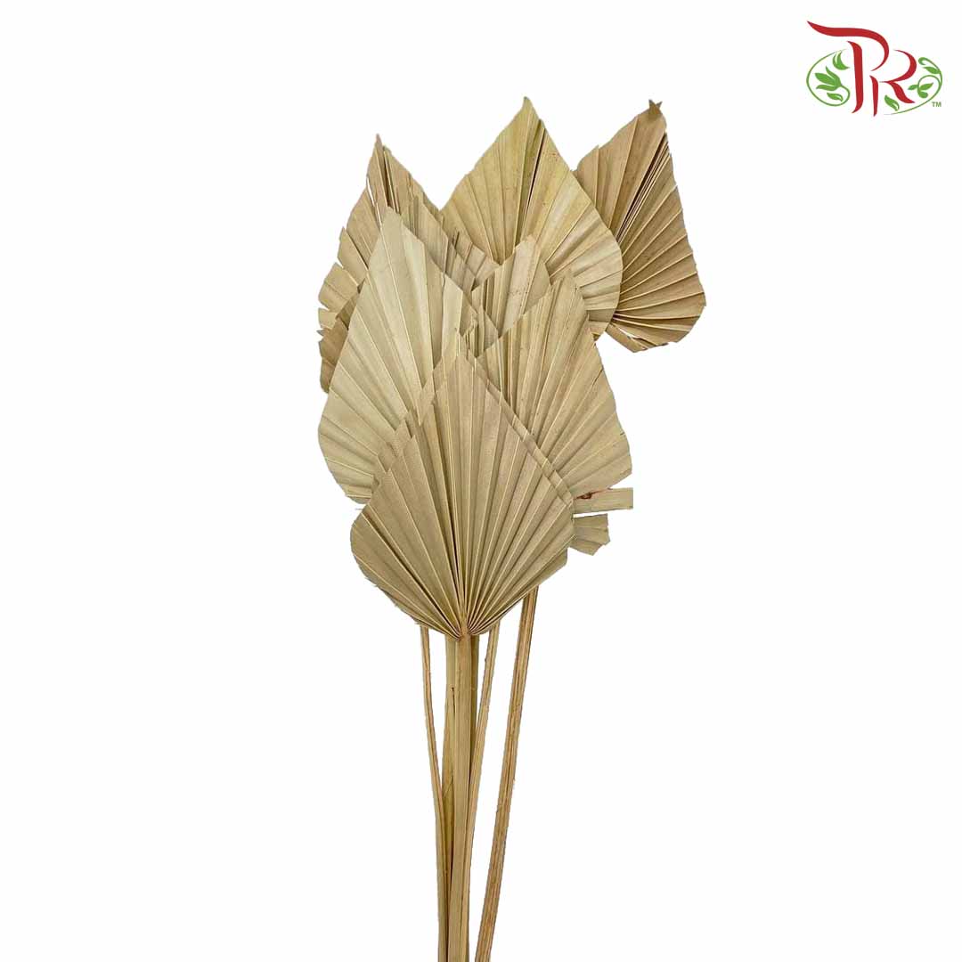 Palm Leaf – Pudu Ria Florist Southern