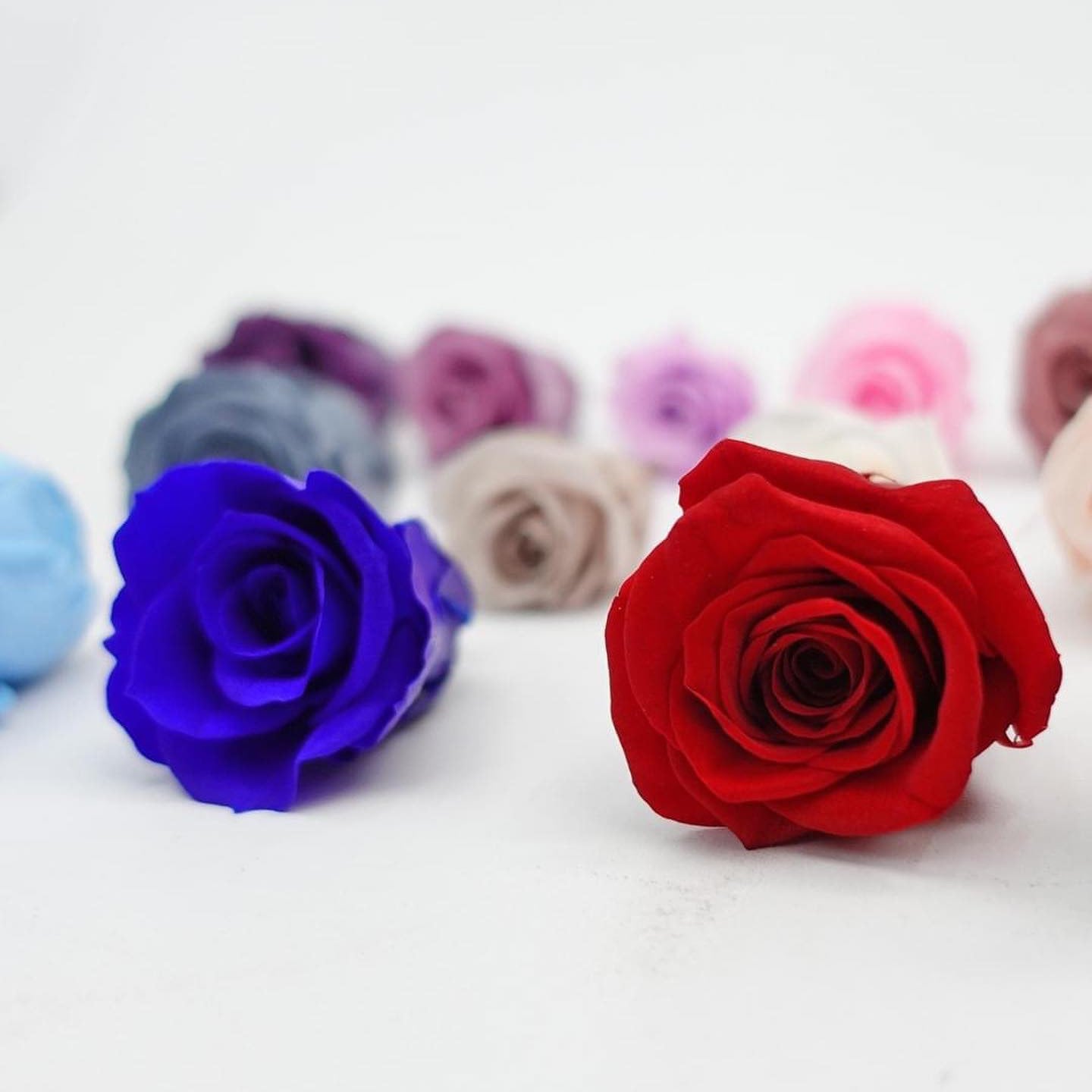 Preserved Flowers – Pudu Ria Florist Southern