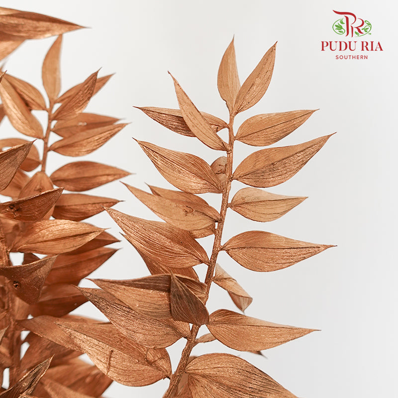 Dry Ruscus Dyed - Gold - Wholesale flowers delivery in JB & Singapor ...