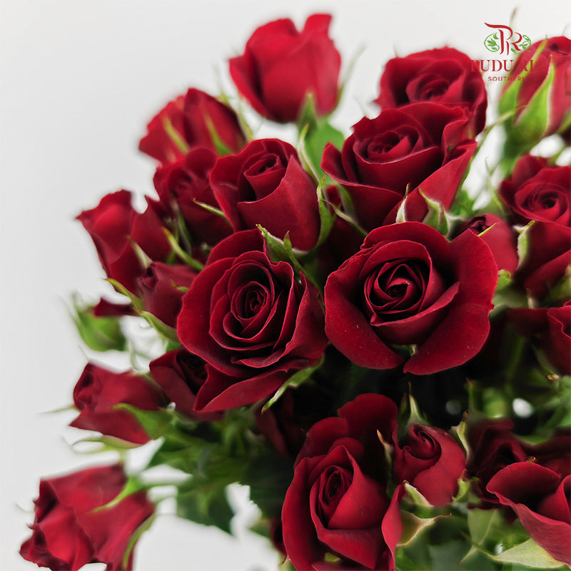 Rose Spray Rubicon (8-10 Stems) - Wholesale flowers delivery in JB ...