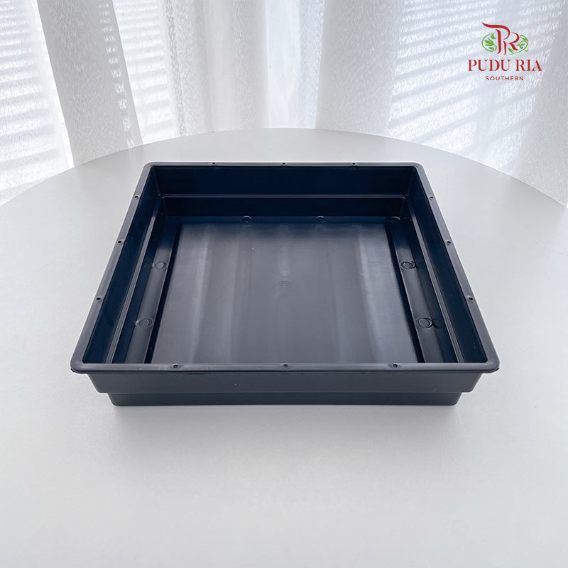 Large Square Container - Wholesale flowers delivery in JB & Singapor ...