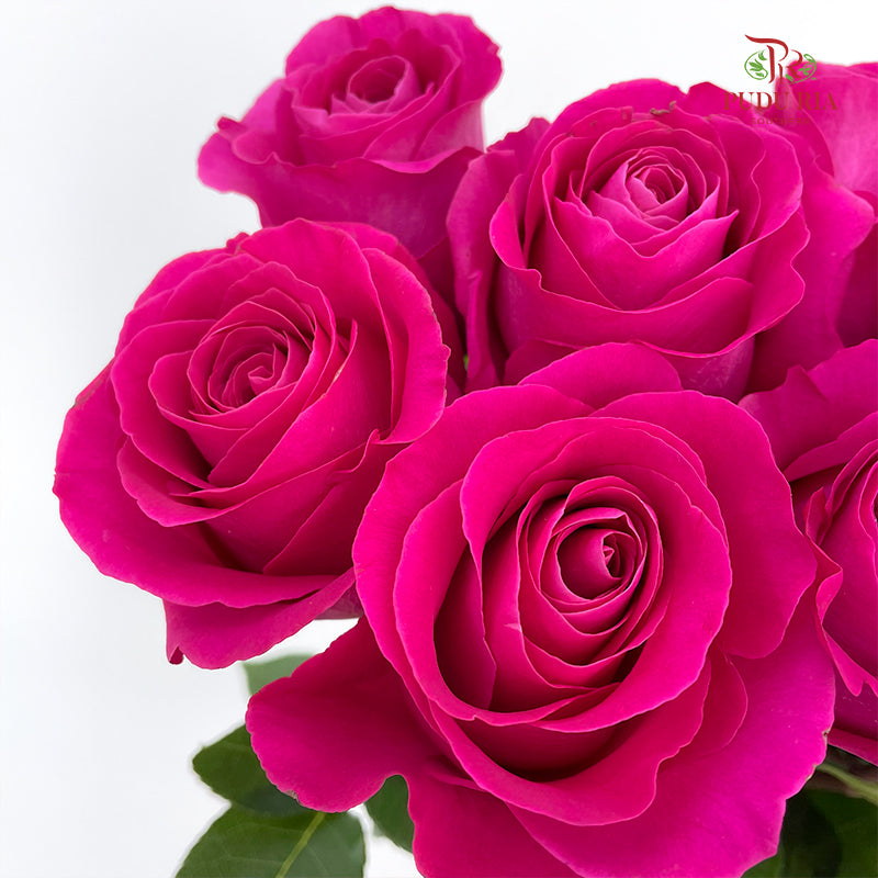 Rose Pink Floyd (8-10 Stems) - Wholesale flowers delivery in JB ...