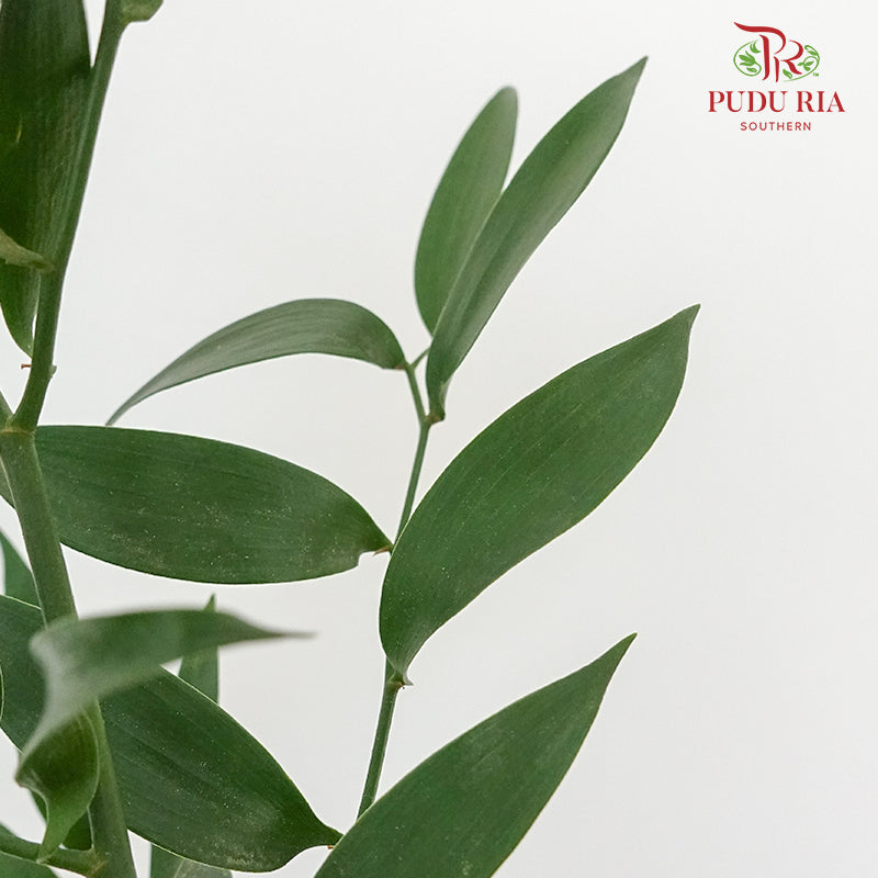 Same day fresh flowers delivery in JB - Pudu Ria Florist Southern