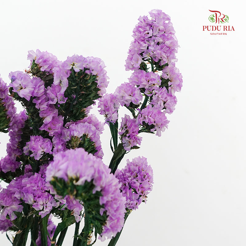 Dry Statice - Light Purple - Wholesale flowers delivery in JB ...
