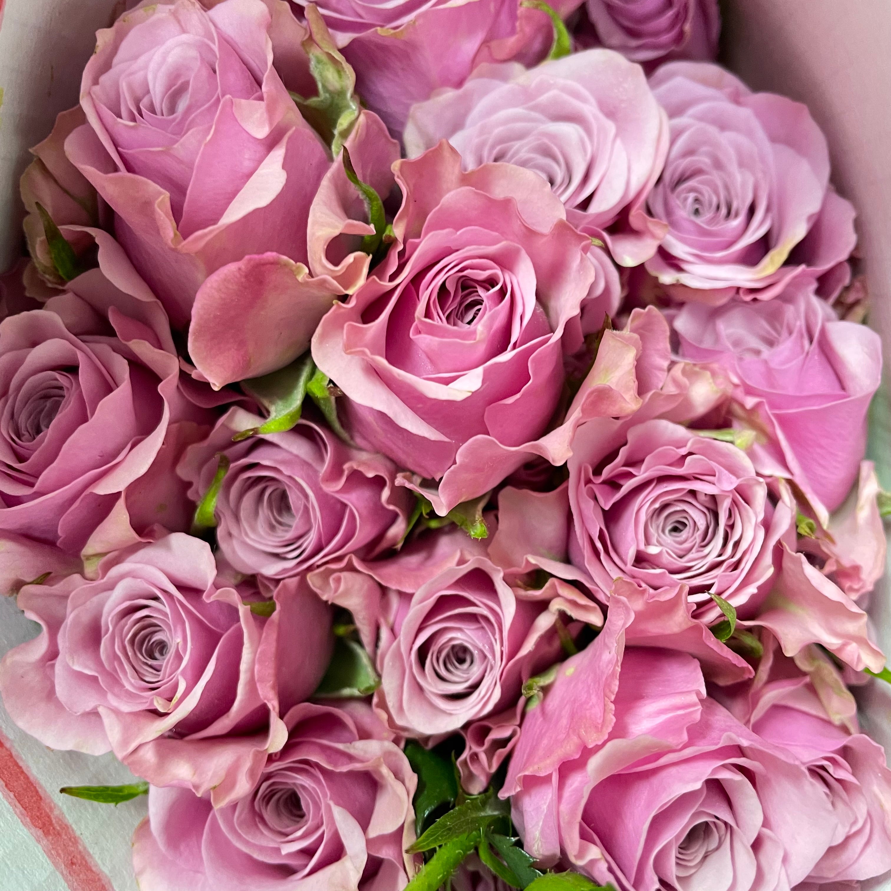 Rose Spray Nolla (8-10 Stems) - Wholesale flowers delivery in JB ...