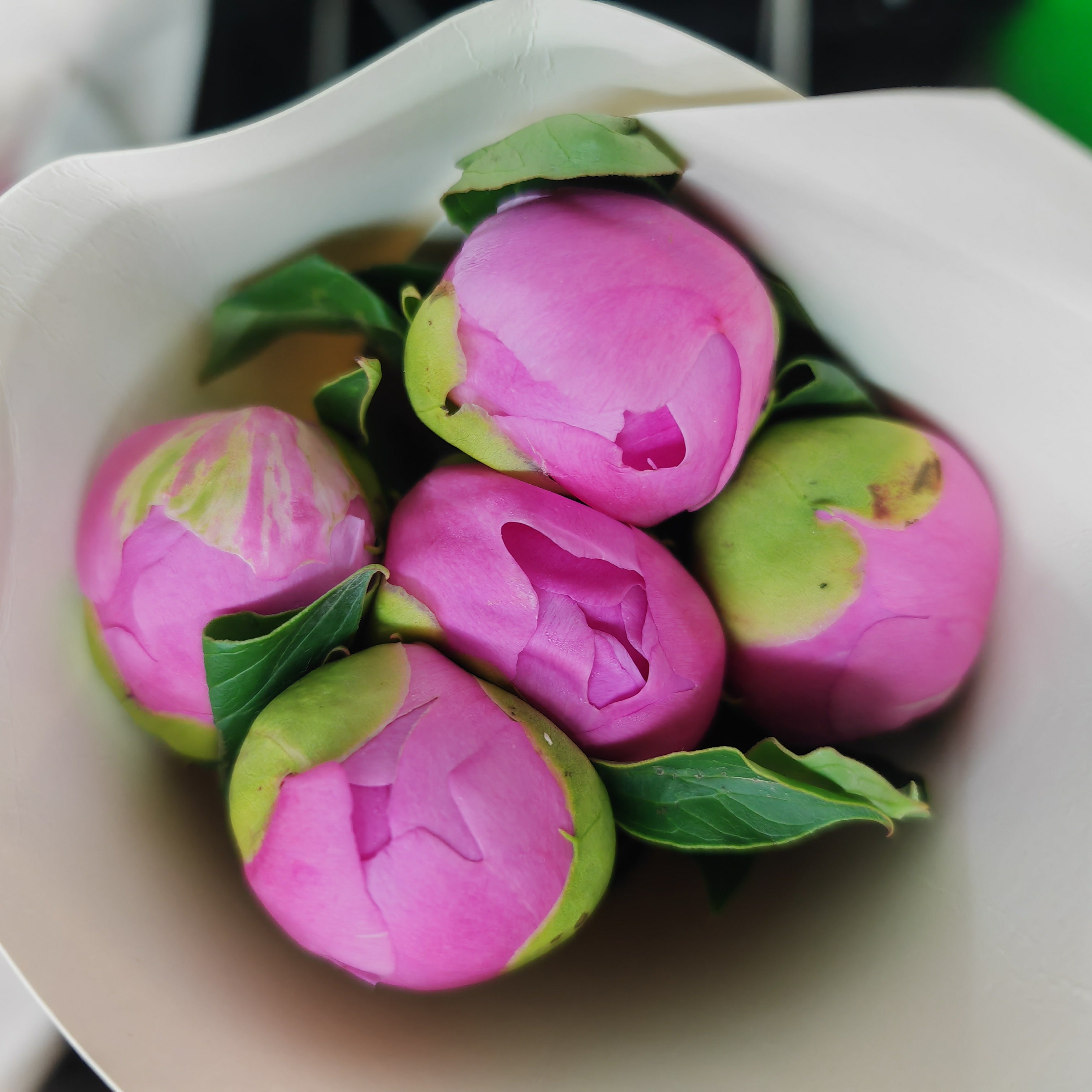 Peony Aili Pink (5 Stems) - Wholesale flowers delivery in JB & Singapor ...